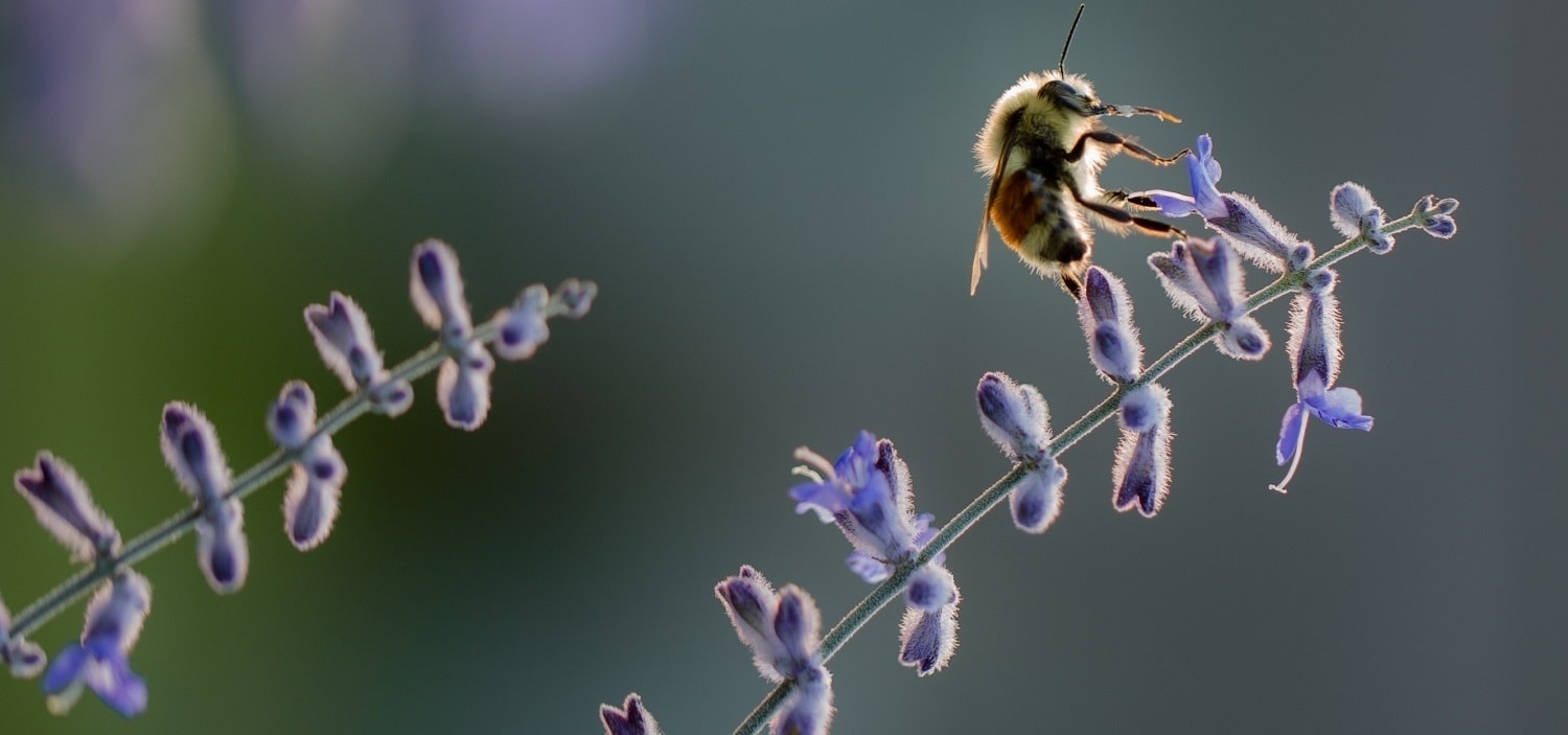 Our top 5 articles to help celebrate World Environment Day - Ferrovial ...