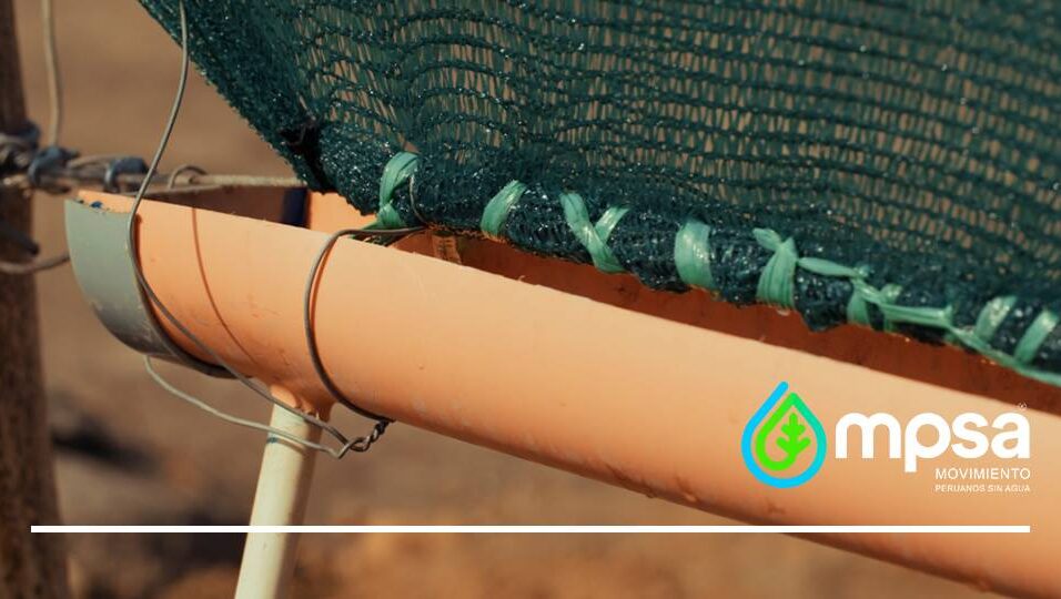 Dame una malla y atraparé el agua - Ferrovial's blog