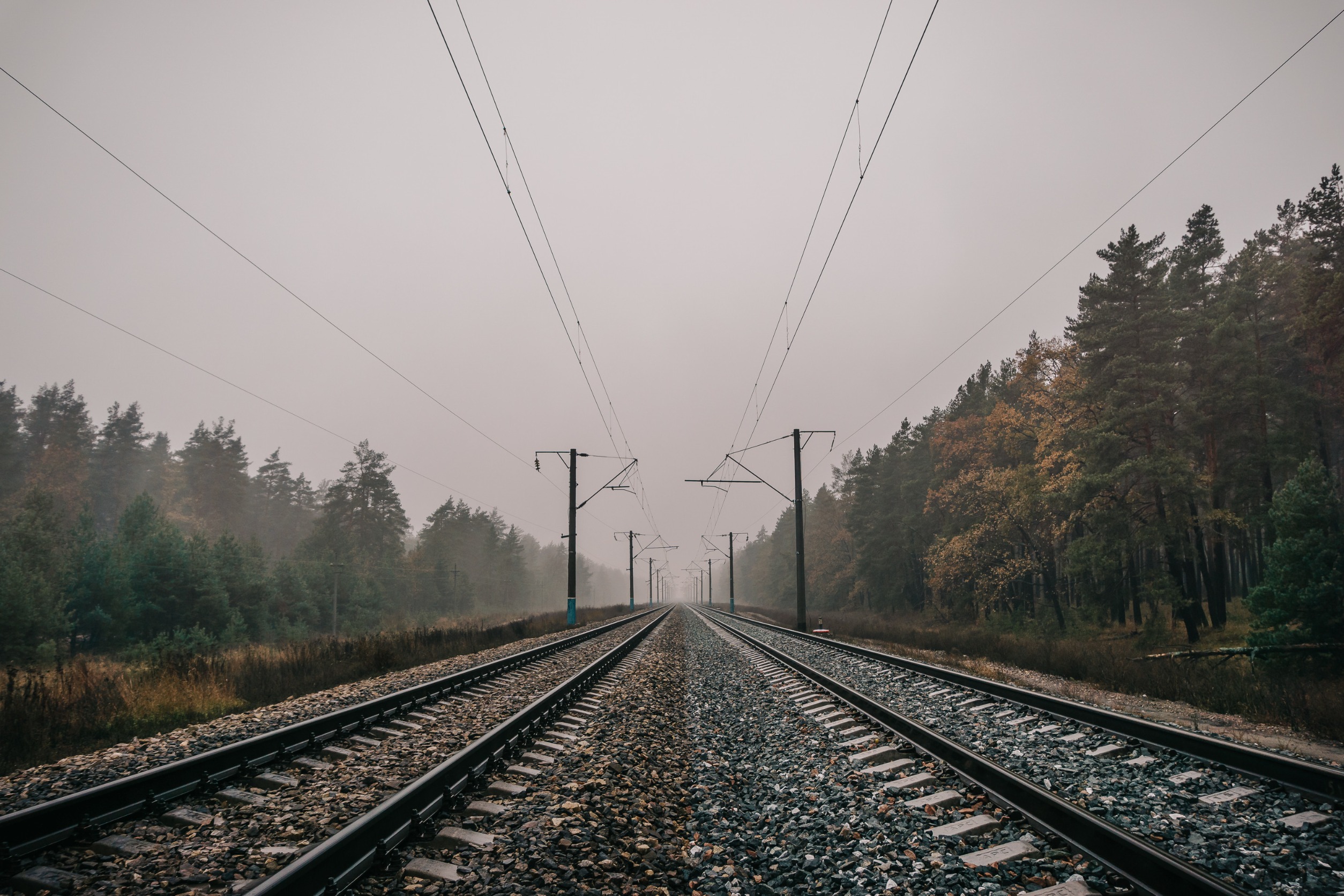 What is a vegetation control train? We invite you to know it