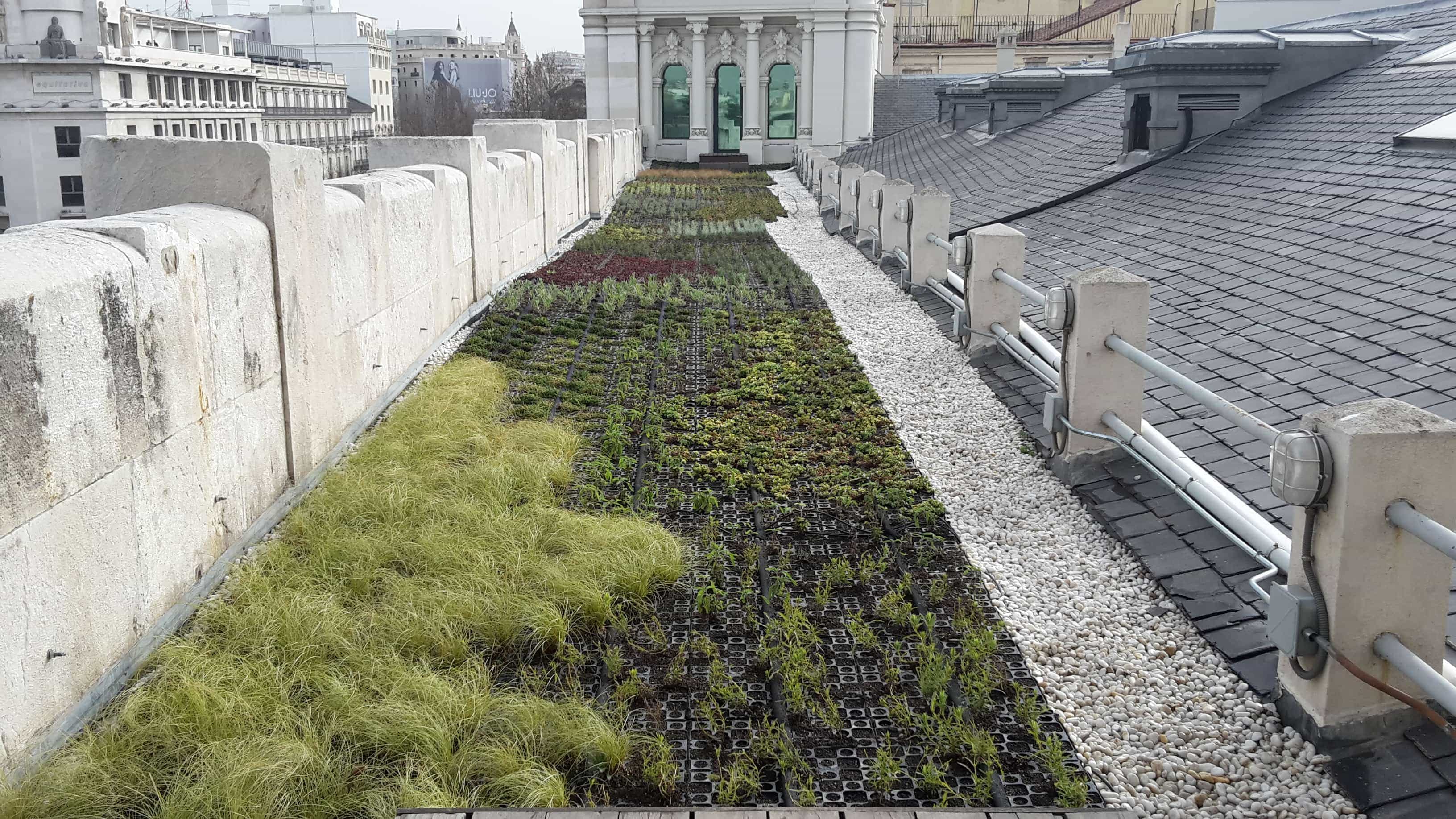 Madrid City Hall's green roof combines social and environmental ...